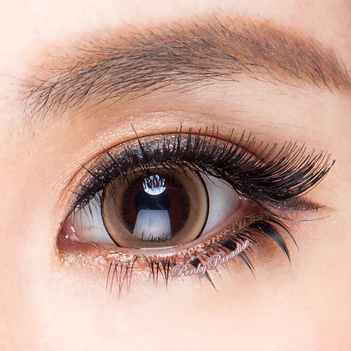 Princess Pinky Eclipse Brown coloured contact lenses (1 pair | Yearly ...