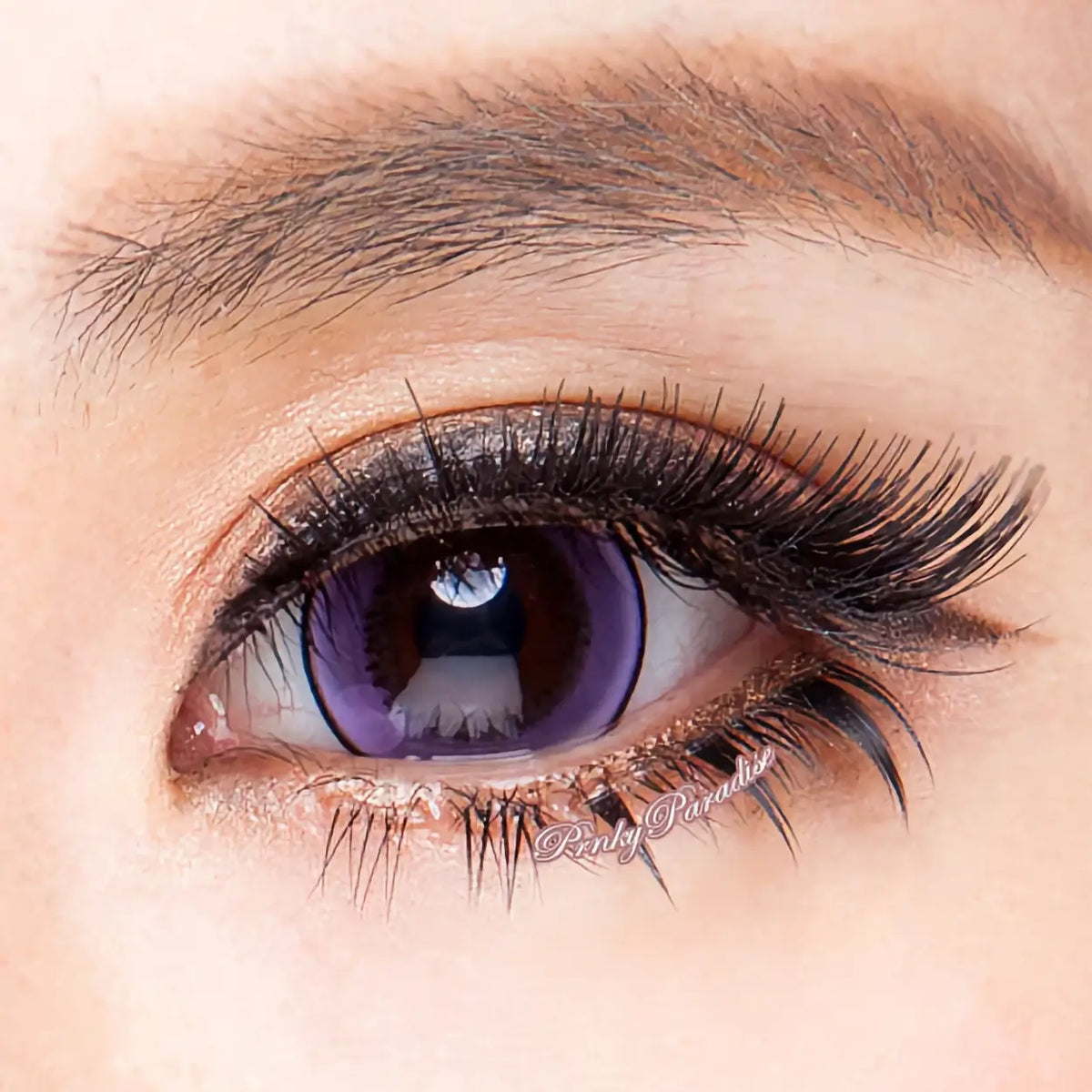 Princess Pinky Eclipse Violet coloured contact lenses (1 pair | Yearly ...
